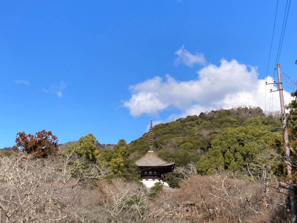 岩出市のカフェ「NEKORO CAFE」で季節限定スイーツ「いちご甘酒スペシャル」 | 和歌山道の駅ドットコム
